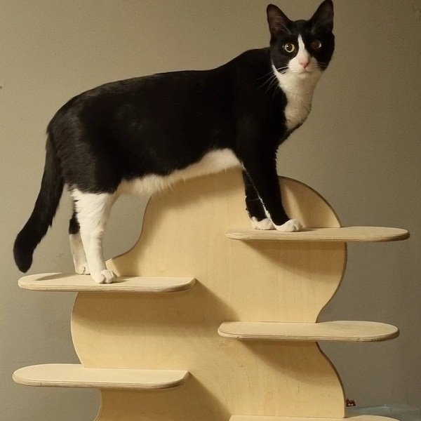 Asymmetrical Wavy Collapsible Stand, Retail Display, Market Display ...