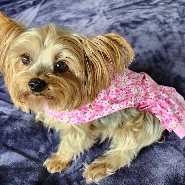 Male Dog Belly Band Pet Wrap Diaper Puppy Training Pants Plaid Paw ...