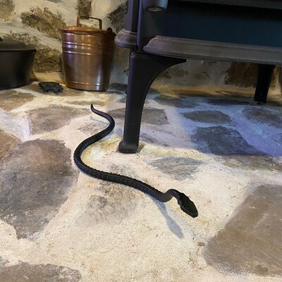 Sneaky Snake Hand Forged Garden Ornament-great for Scaring Birds Away ...