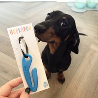 Hookapoo Dog Poop Bag Carrier Dog Poo Holder Clip on Hands Free ...