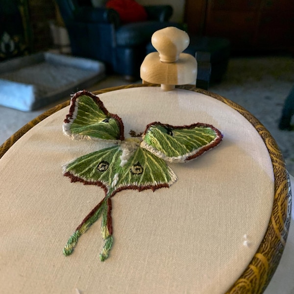 Moth Embroidery Design, Thread Painting Embroidery Pattern, Insect ...