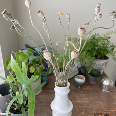 Nesting Cubes, Unfinished Space Saving Wood Craft Nesting Cube Boxes ...