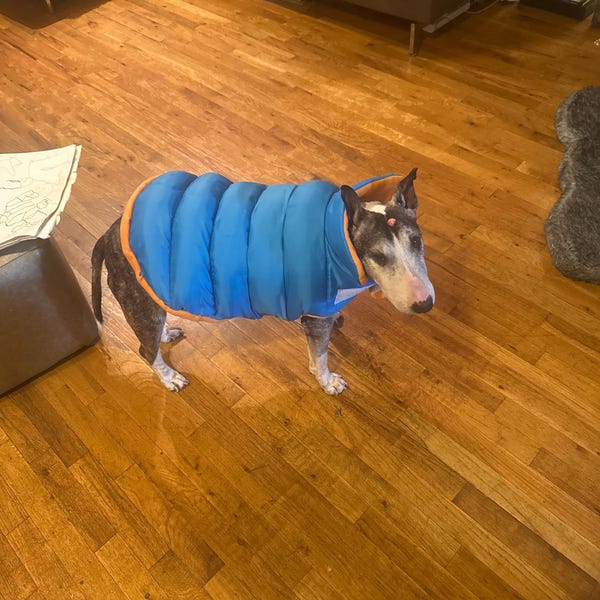 Dog Snuggle Bed Sewing Pattern and Tutorial PDF Dog Sleeping Sack Dog ...