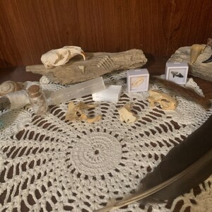 Freeze Dried Yak Feet for One Taxidermy Yak, Deer Antlers, Taxidermy ...