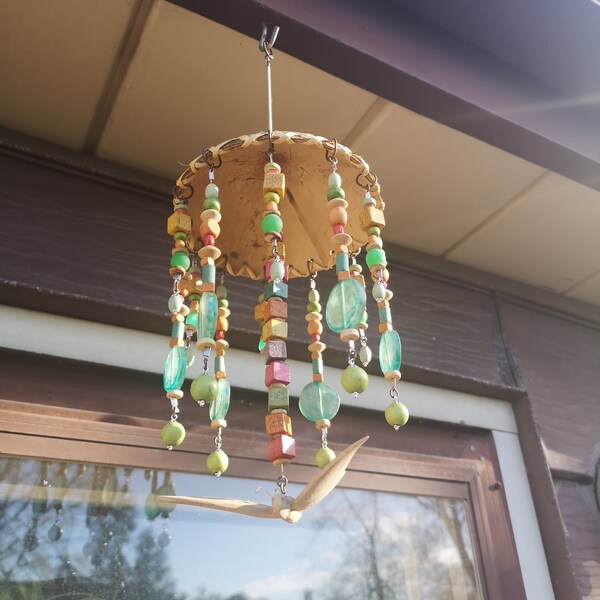 Beach Finds Driftwood Tropical Seed Pots 6 Pcs. Beachcombing Durian ...