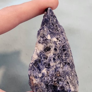 Zebra Onyx Small T-rex Stone Carving Polished Tyrannosaurus - Etsy