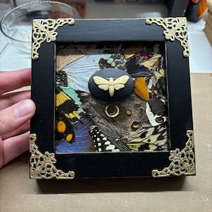 Vampire Cameo 5 Unset Cameos Vampire Bat Girl Lady Ivory on Hazy Dark ...