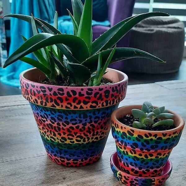 OvertherainbowpotsCo - Etsy UK