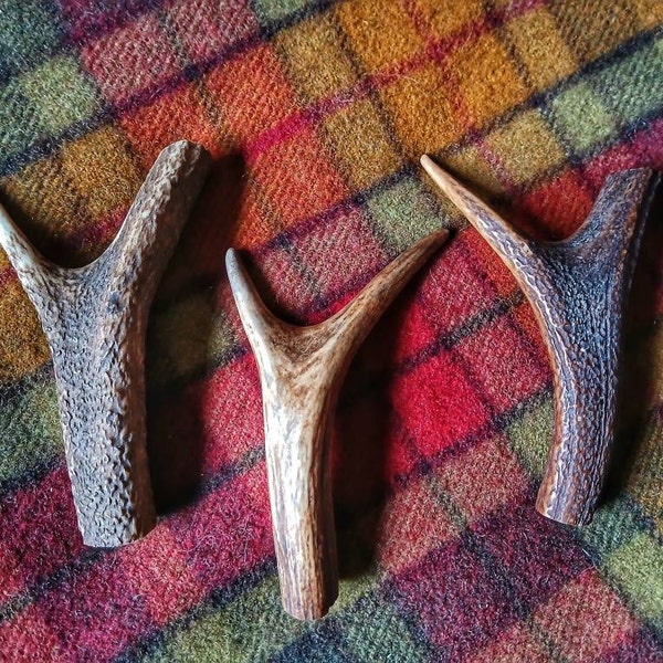 Huge Set 14 Point Imperial Deer Antlers - Etsy