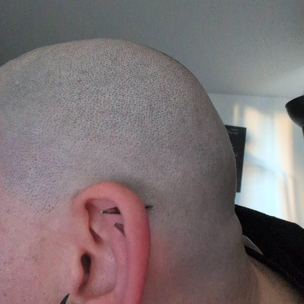 16g Very Long Spiked Septum, Wide Horseshoe Barbell, 14mm Septum, 16mm ...