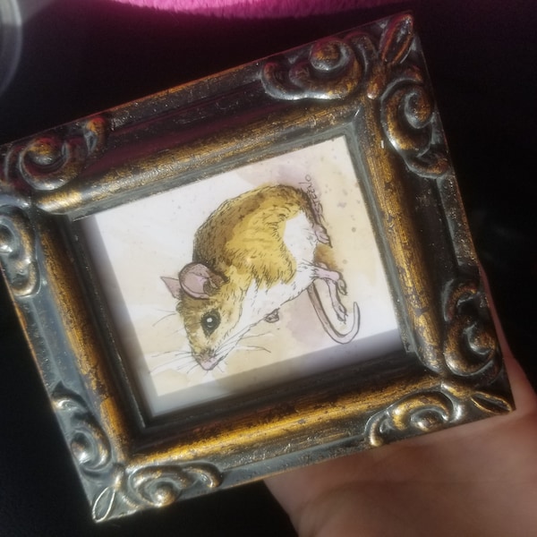 Mouse Framed Miniature Watercolor Art Print by James Steeno Mini Art ...