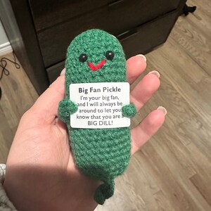 Emotional Support Pickle,positive Pickle,big Fan Pickle,handmade ...
