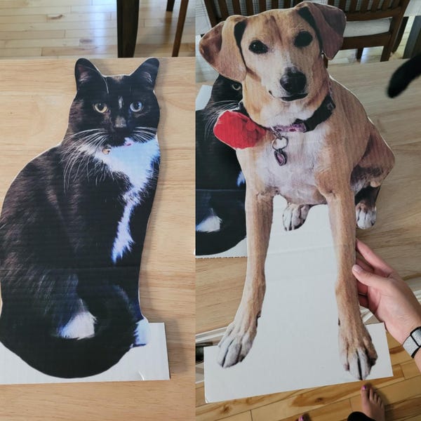 Custom Life Size Cardboard Cutout, Graduation, Birthday Party Props ...