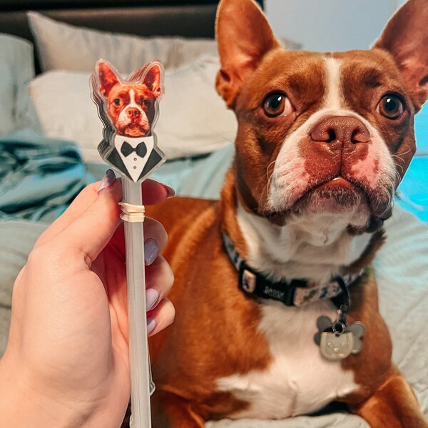 Printed Signature Dog Pet Stir Stick, I Do Too & Dog of Honor, Tuxedo ...