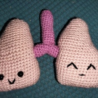 11 Crochet Organs Patterns EBOOK PDF Amigurumi Heart Liver - Etsy Australia