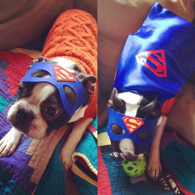 Dog Superhero Cape/ Puppy Superhero Cape/ Dog Cape/ Puppy Cape ...