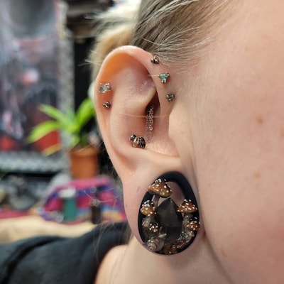 Obsidian Septum Pincher. Septum Plug. Stretched Septum. Tusk Pincher ...