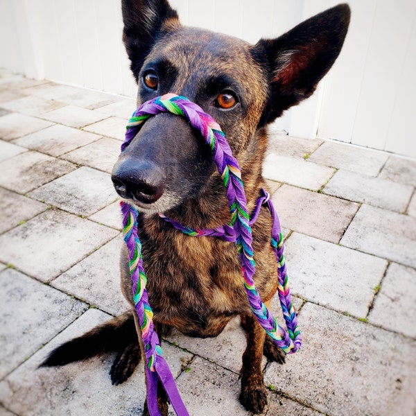 Leather Agility Lead, Leash for Dog Agility, Martingale Leash, Tie Dye ...