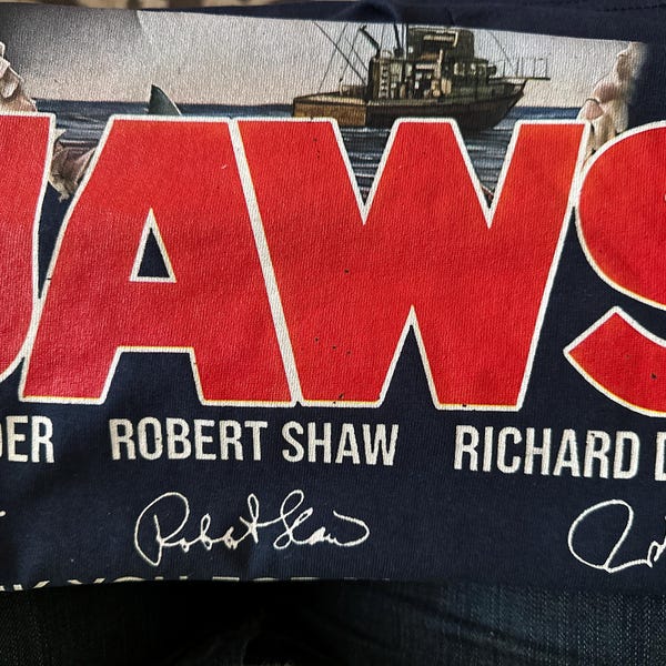 Jennifer Check Horror Movie Shirts, Jennifer's Body 2009 Classic Movie ...