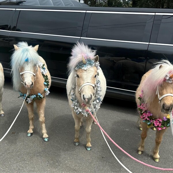 Antler Headband / Realistic Antlers Headpiece / Antler Crown for ...