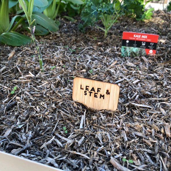 Australian Slang Postcard, Woop Woop - Etsy