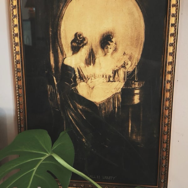 Eugerres Plumieri or Striped Mojarra X-ray. Science Art Print. - Etsy