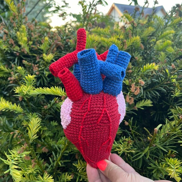 Anatomical Heart CROCHET – PATTERN PDF English - Etsy