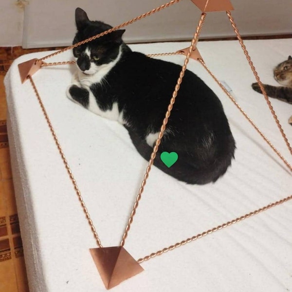 Multi-wave Lakhovsky Oscillator MWO Necklace 3D Printed Core Copper ...