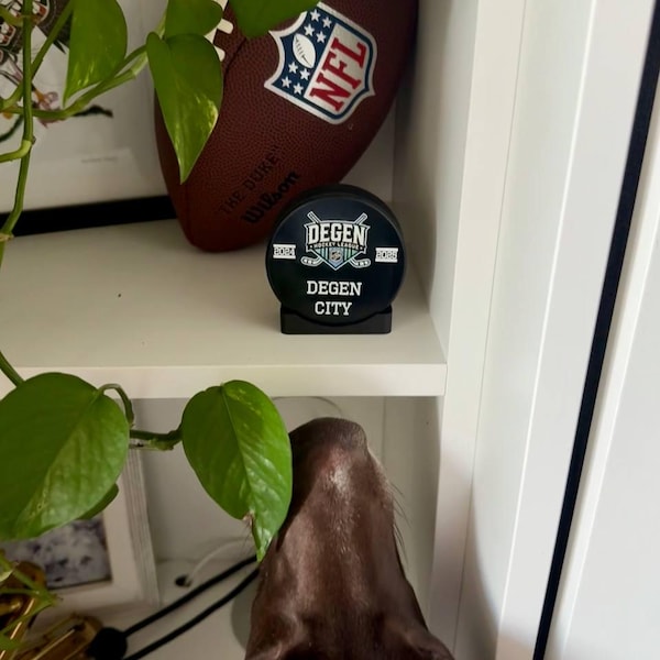 BIG CHAIN Sports Logo Necklace, Turn Over Chain, Player of the Game ...