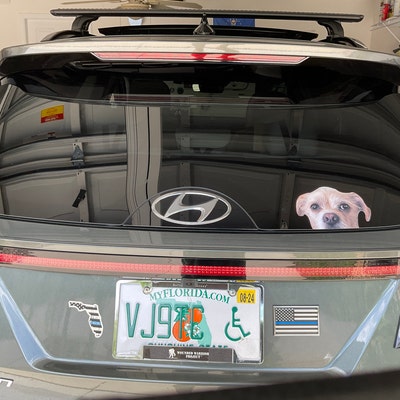 Custom Ear Pet Portrait Car Decal Personalized Dog Car - Etsy