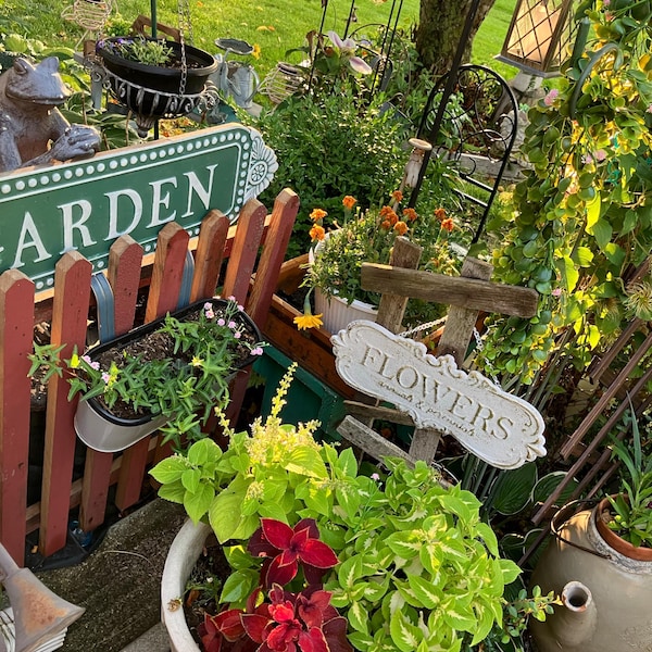 Large Functional Chicken Nesting Box Wall or Floor Mount Cabinet Made ...