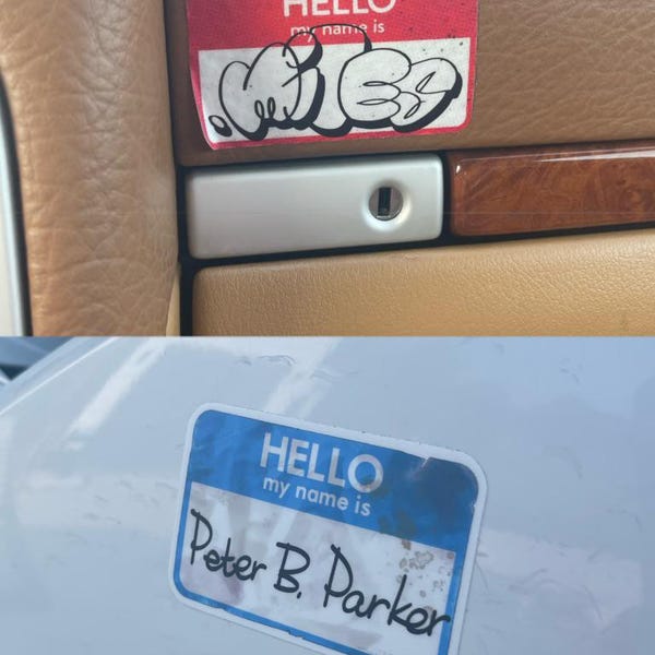 BUCKY STEVE Sticker Decal Friendship Vinyl Bumper Sticker - Etsy