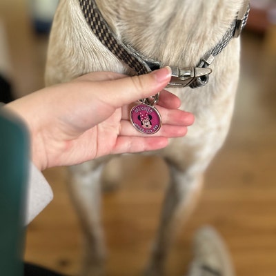 Pet ID Tag Lilo Lilo and Stitch inspired Dog Tag, Cat Tag, Pet Tag - Etsy