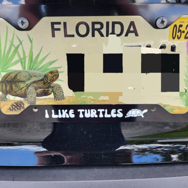 Green Palm Tree License Plate, Cute Car Accessory, Coastal License ...