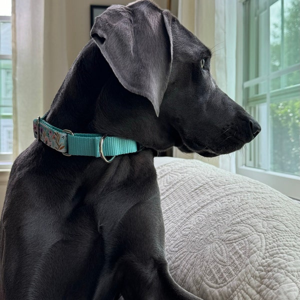 Upgrade: Add a Bucke to Any Martingale - Etsy