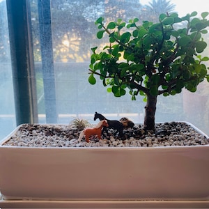 HORSE FIGURE Shire Stallion Large Realistic Miniature - Etsy