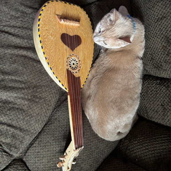 Set Consisting of Guembri and Qraqeb, Moroccan Pro Gnawa Instrument ...