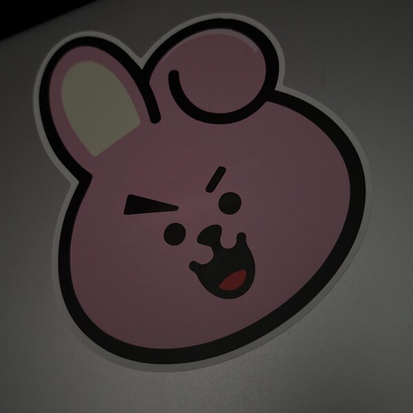 Personalized Stray Kids Skzoo Letters Hoodie, Custom SKZ Unique Unisex ...