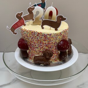 Roller Skate Cake Topper, Handmade Glitter Party Cake Decoration for ...