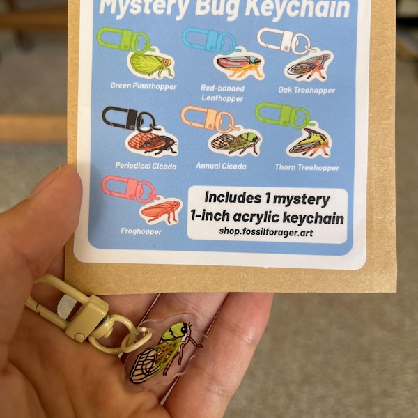 Number 1 Bug Enthusiast Iron-on Patch / Entomologist / Entomology ...