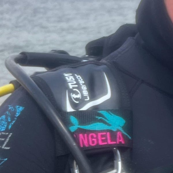 Silver Shark Personalized & Customizable Scuba Diver BCD Identification ...