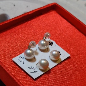 16.9x14.0mm Natural Deep Sea Angel Skin Color Coral Oval - Etsy