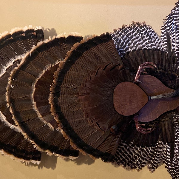 Turkey Fan Mounting Kit 4 Fan Display System Black Multiple Fan Display ...