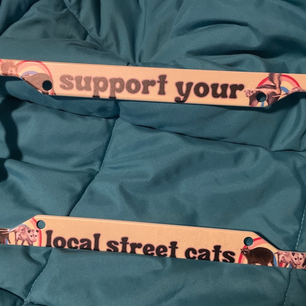 Hot Girls Have IBS Bumper Sticker | Gen Z Funny Pink Cute Car ...