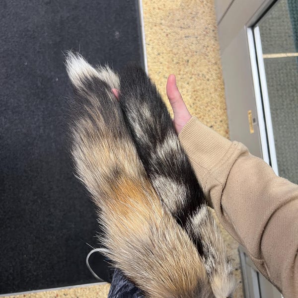 High Quality 1st Class Red Fox Pelt Real Wild Fox Furs Genuine Throw ...