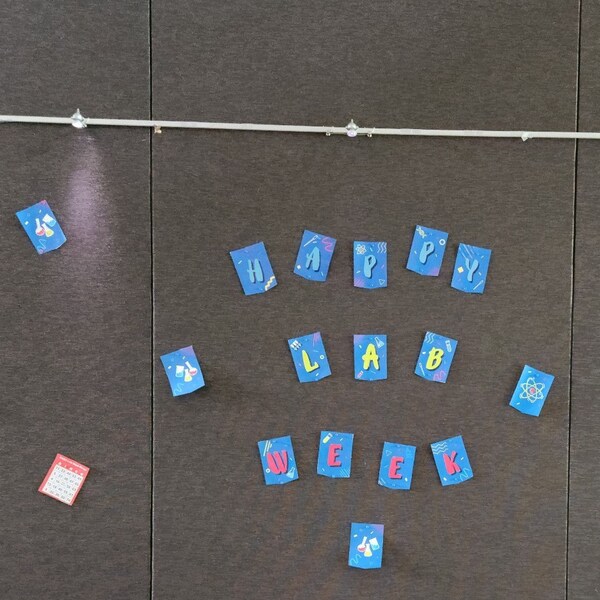 Printable Lab Week Game, Word Scramble Laboratory Week 2025 Idea ...