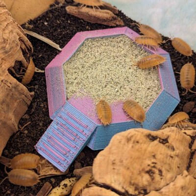 Dairy Cow Isopod Barn Hide, Barn Isopod Feeding Trough, Roly Poly Bin ...