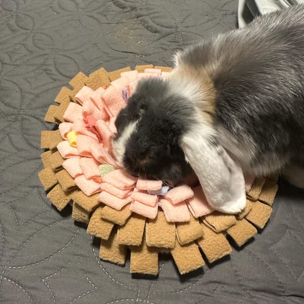 Pink Flower Snuffle Mat for Rabbits, Guinea Pigs, Dogs and Other Pets ...
