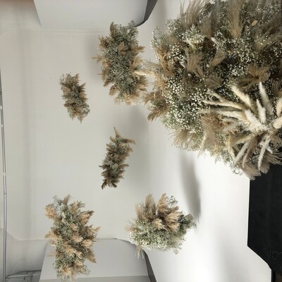 Magicdecor Pampas Grass White Pompous Grass, Bunny Tails, Natural Reed ...