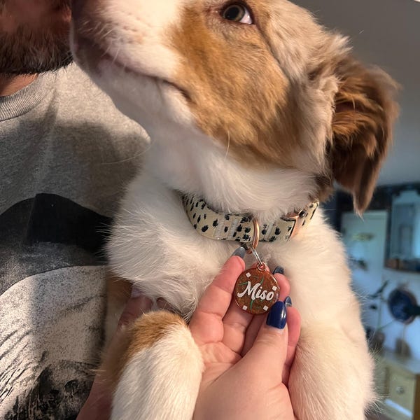 Design Your OWN Custom Pet Tag, Personalized, Custom Dog Tag, Resin Dog ...